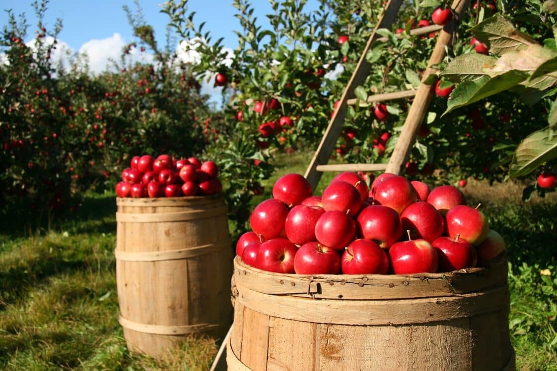 The 14 Best Farming Games for iPhone | Mobile Marketing Reads