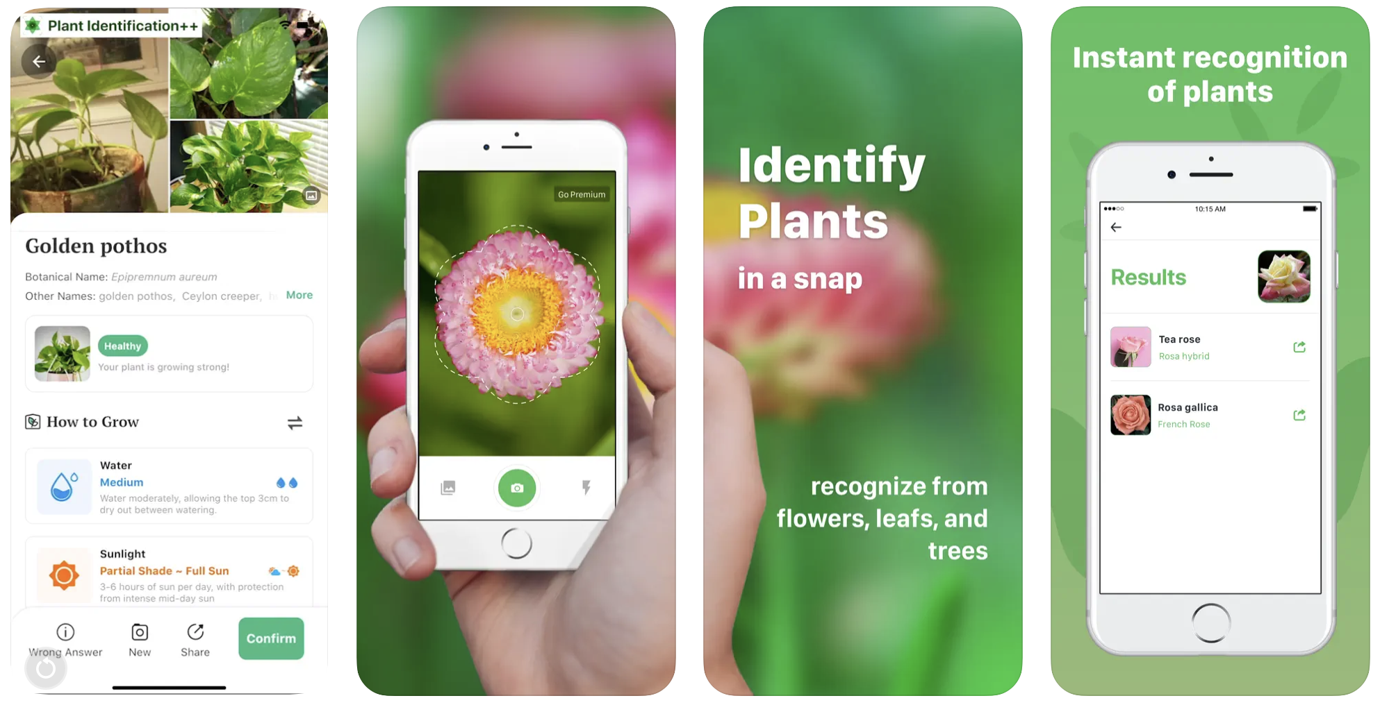 The Best Free Plant Identification Apps for iPhone | Mobile Marketing Reads