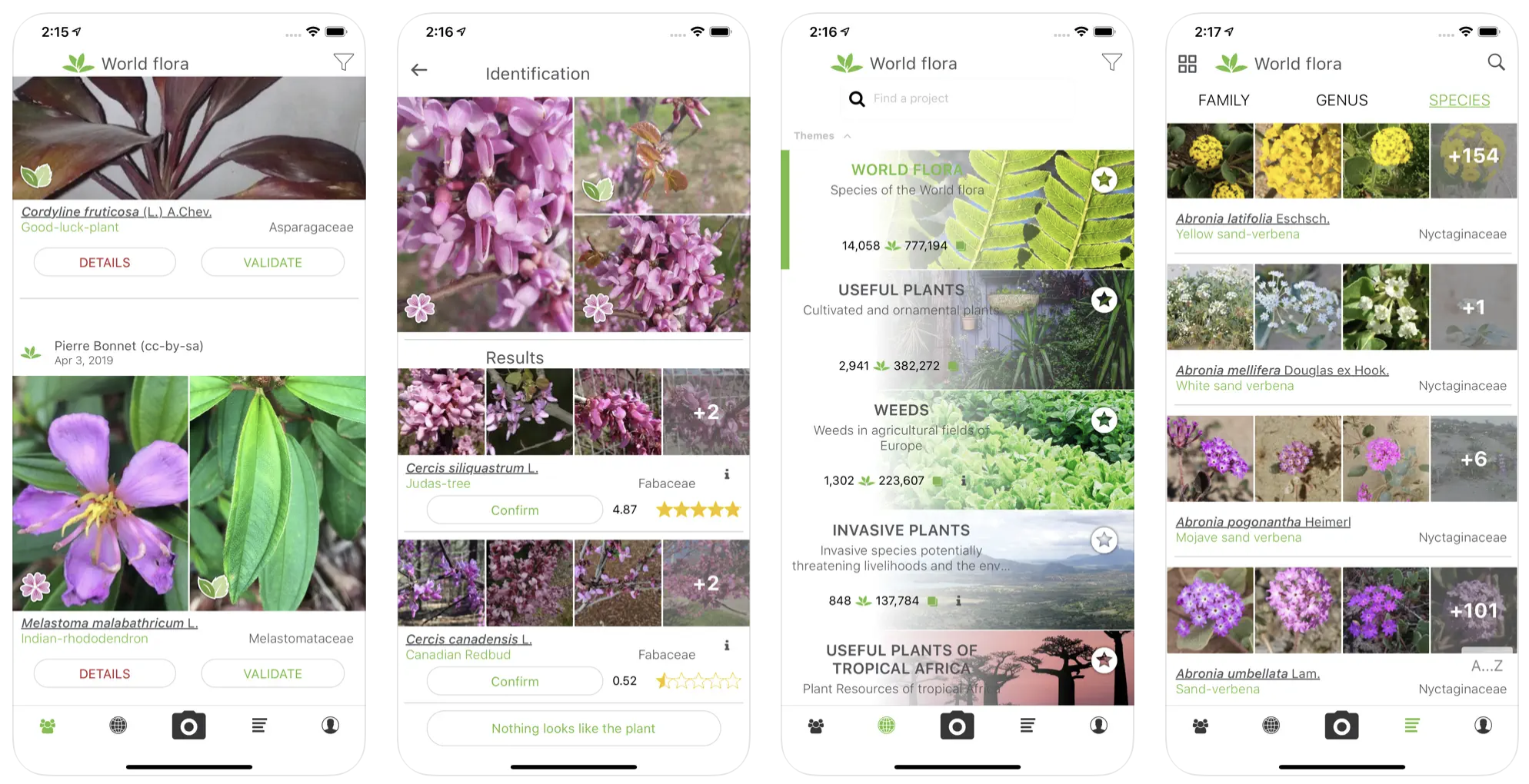 The Best Free Plant Identification Apps for iPhone | Mobile Marketing Reads