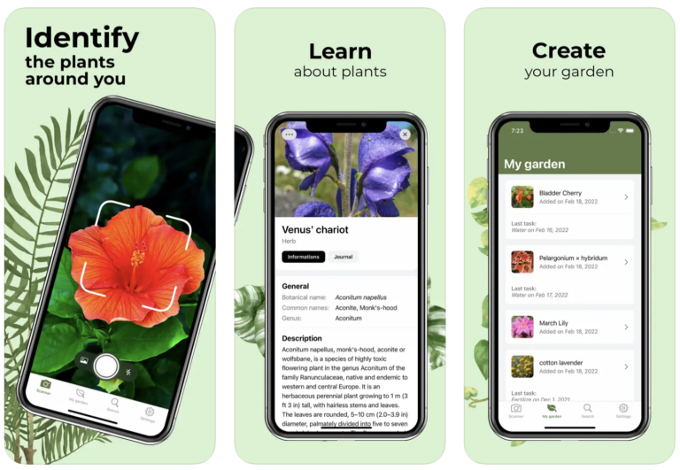 The Best Free Plant Identification Apps for iPhone | Mobile Marketing Reads