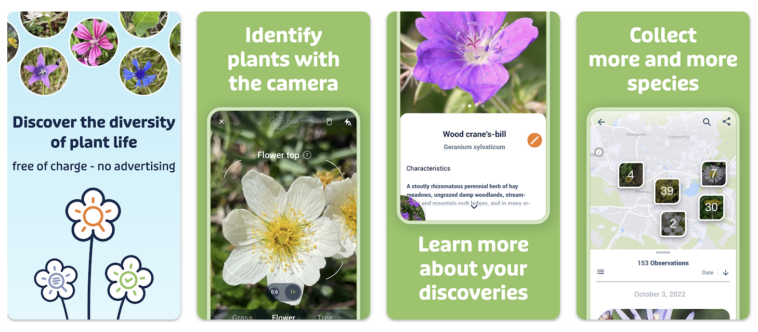The Best Free Plant Identification Apps for Android | Mobile Marketing ...