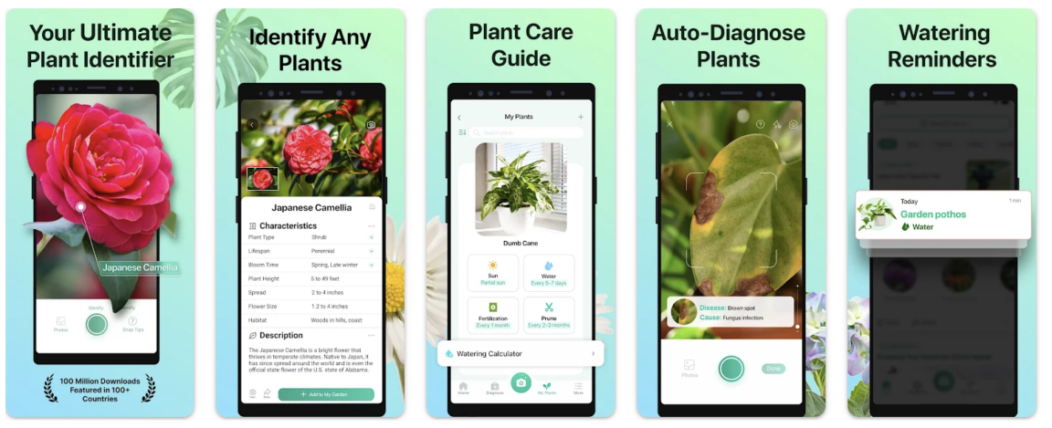 The Best Free Plant Identification Apps for Android | Mobile Marketing ...