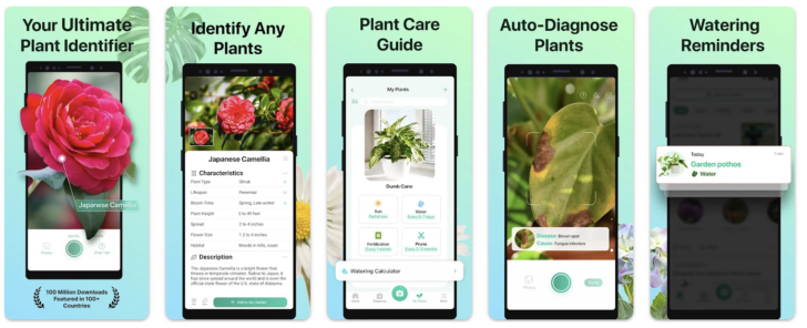 The Best Free Plant Identification Apps for Android | Mobile Marketing ...