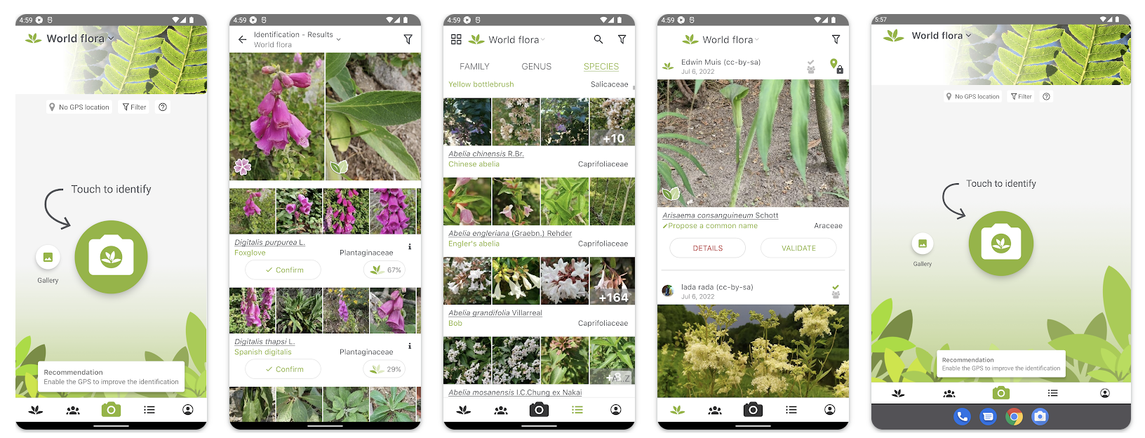 The Best Free Plant Identification Apps for Android | Mobile Marketing ...