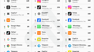 Shopee Revenue and Usage Statistics (2024) | Mobile Marketing Reads